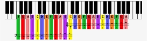 Color Coded Piano Grand Staff - Piano - 1600x500 PNG Download - PNGkit
