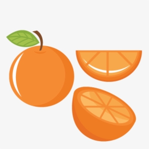 Orange Set Svg Cutting Files Fruit Svg Cut File Food - Clip Art ...