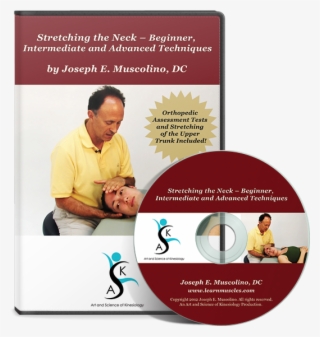 Stretching - Flyer - 540x576 PNG Download - PNGkit