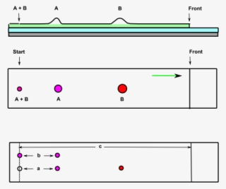 Partition Chrom Layer - Diagram - 744x425 PNG Download - PNGkit