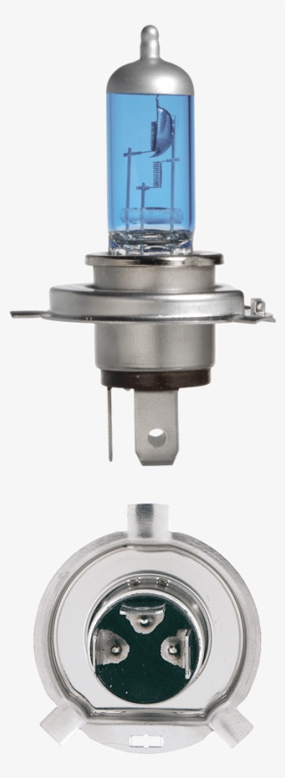 12v H4 60/55w Intense Plus 30 Halogen Headlight Globes - H4 Bulb ...