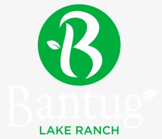 Lake Forest Ca New Homes Master Planned Community - Logo Ng Bantug ...