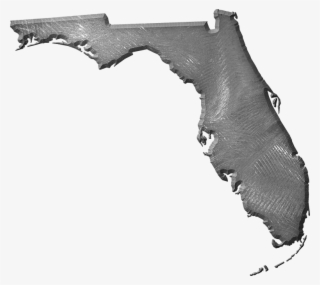 Florida Map PNG, Free HD Florida Map Transparent Image - PNGkit