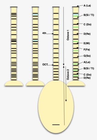 Bağlama "long Neck" Frets - Saz Baglama - 500x716 PNG Download - PNGkit