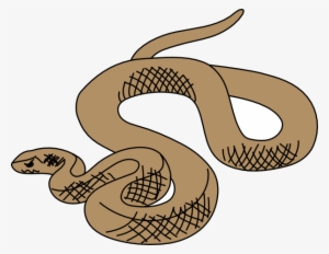 Red Rattlesnake Cliparts - Red Snake Clipart - 600x356 PNG Download ...