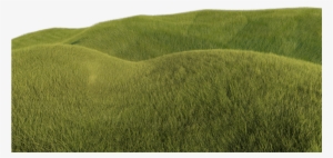 Grass Hill Png - Grassy Hills Png - 900x506 PNG Download - PNGkit
