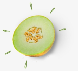 Honeymoon - Melon - 473x431 PNG Download - PNGkit