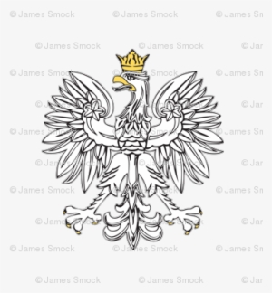 Polish Eagle With Gold Crown - Poland Coat Of Arms Vector - 354x400 PNG ...