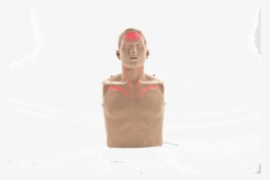 Bigred™ Cpr Manikin With Led Light Cpr Feedback - Transparent ...