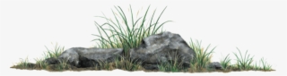 Rock Grass Png - 600x600 PNG Download - PNGkit