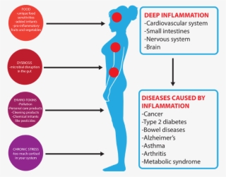 Inflammation Diagram 5b4f60ae9bc57 - Diagram - 766x603 PNG Download ...