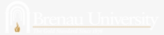 Brenau University Logo - Brenau University Tigers - 1200x260 PNG ...