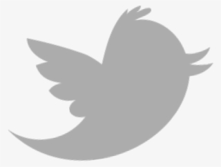 Twitter Logo Transparent Background Png 00am To - Twitter Icon Png Grey ...