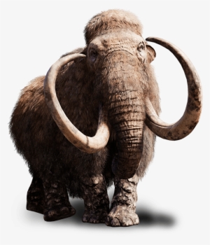 Elder Mammoth - Far Cry Primal Mammoth - 698x816 PNG Download - PNGkit