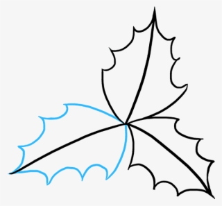 How To Draw Holly - Holly Drawing Easy - 680x678 PNG Download - PNGkit