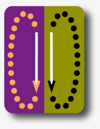 Feedback Loops - Circle - 4029x2638 PNG Download - PNGkit