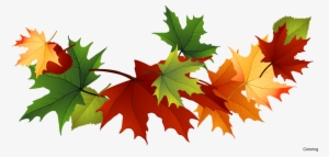 Autumn Leaves - Fall Pictures For Email Signatures - 827x771 PNG ...