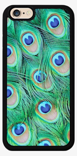 Peacock Feather Glasses Case - Peafowl - 1280x1280 PNG Download - PNGkit