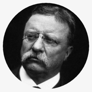 Theodore Roosevelt - Monochrome - 600x600 PNG Download - PNGkit