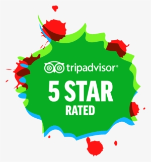 Tripadvisor 5 Star Rated - Illustration - 600x644 PNG Download - PNGkit