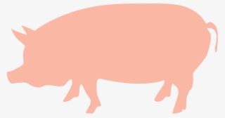 Pigs Cliparts - Three Little Pigs Pig - 507x719 PNG Download - PNGkit