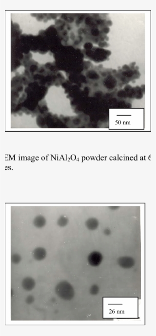 Bright Field Tem Image Of Nial 2 O 4 Powder Calcined - Tree - 530x1142 ...