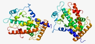 Protein Ppard Pdb 1gwx - Peroxisome Proliferator Activated Receptor ...