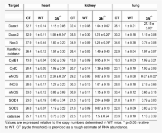 Qrt-pcr From Heart, Kidney And Lung Tissue - Circle - 850x701 PNG ...
