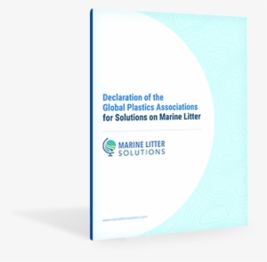 Global Declaration - Declaration - 536x546 PNG Download - PNGkit