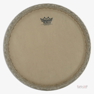 Remo Crown Percussion Conga Drum-natural, 11" - Imagenes De Congas Hd ...