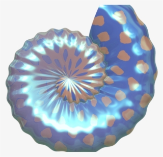 Seaside Clipart Purple Clam Shell - Transparent Seashell - 640x480 PNG ...