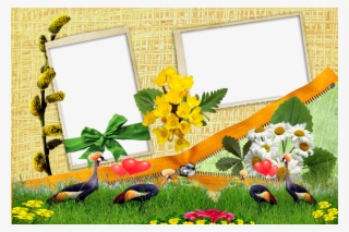 Free Pink 2 Frame - Pink Facecam Border Png - 800x570 PNG Download - PNGkit