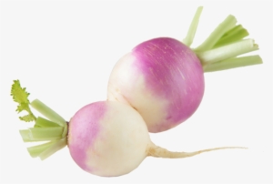 PNG, Free HD Transparent Image , Page 2552 - PNGkit