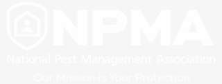 Npma - Graphic Design - 4199x1611 PNG Download - PNGkit