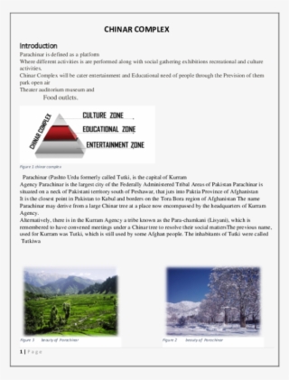 Pdf - Tree - 600x776 PNG Download - PNGkit