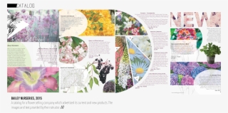 You May Also Like - Butomus - 3840x2316 PNG Download - PNGkit