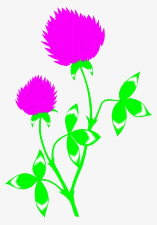 Red Clover Flower Clip Art - Red Clover Clip Art - 958x1372 PNG ...