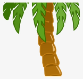 Animated Tree Pictures - Tree - 640x480 PNG Download - PNGkit