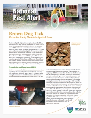 National Pest Alert - Flyer - 1200x630 PNG Download - PNGkit