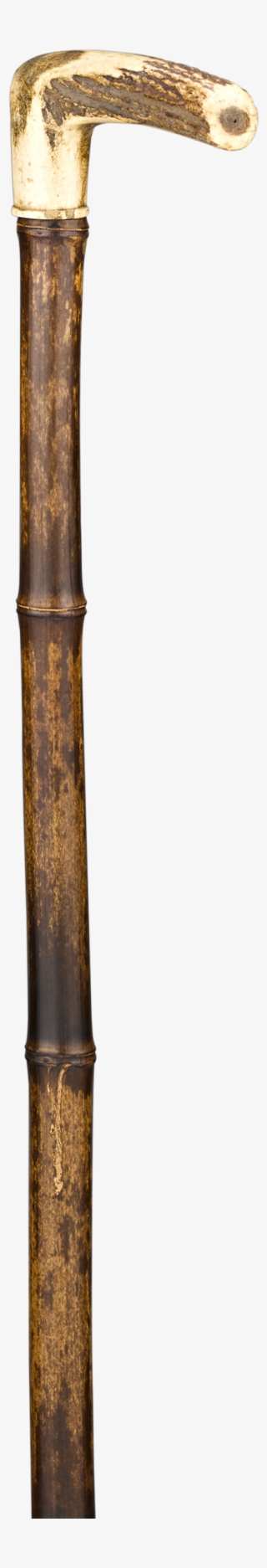 Walking Stick - 400x400 PNG Download - PNGkit