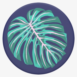 Vintage Palm Leaf, Popsockets - Circle - 1000x1000 PNG Download - PNGkit