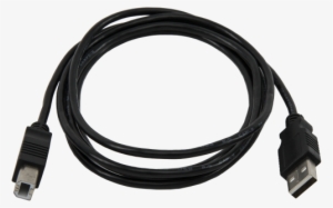 Arduino Usb Cable - Usb Serial Cable Arduino - 800x600 PNG Download ...