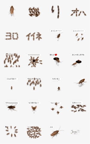 Cockroach On The Smartphone - Insect - 420x673 PNG Download - PNGkit