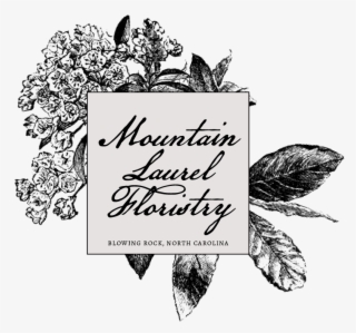 Mountain Laurel Floristry - Calligraphy - 1366x768 PNG Download - PNGkit