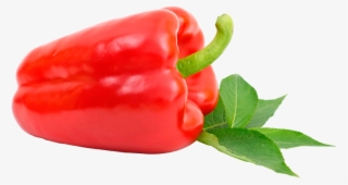 Plc Agro - Pimiento Morron Rojo Png - 740x450 PNG Download - PNGkit