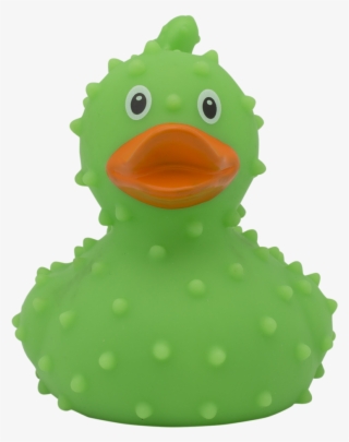 Cactus Rubber Duck By Lilalu - Rubber Duck - 1024x1024 PNG Download ...