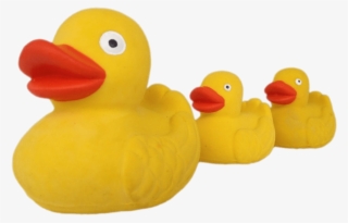 Ducks Map - Rubber Ducks Spill Map - 1106x780 PNG Download - PNGkit