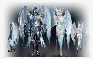Valkyrie Wings / Special Valkyrie Set / Special Einheri - Vindictus ...