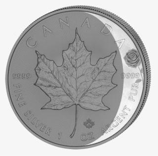 Maple Leaf "moon Phases" 4 Seasons Silver Coins Set - Maple Leaf ...