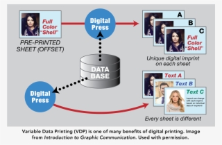 Added Value - Diagram - 1854x1854 PNG Download - PNGkit